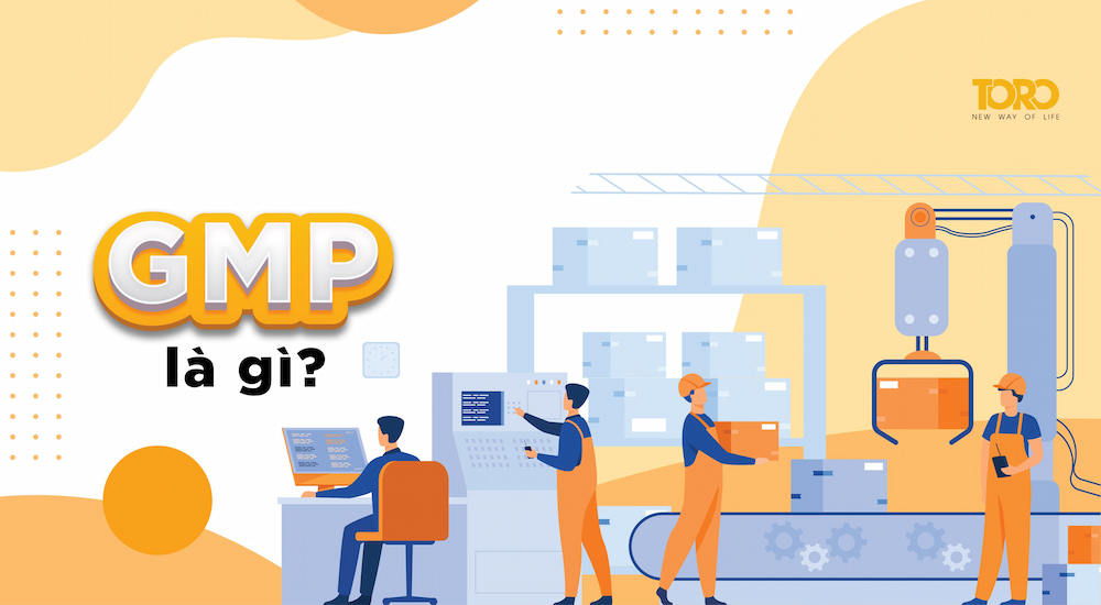 GMP là gì? Vai trò của GMP đối với doanh nghiệp